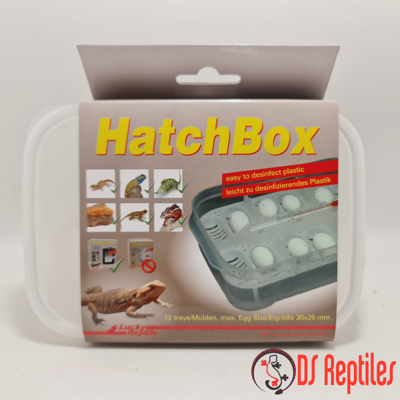 Lucky Reptile HatchBox - DS Reptiles