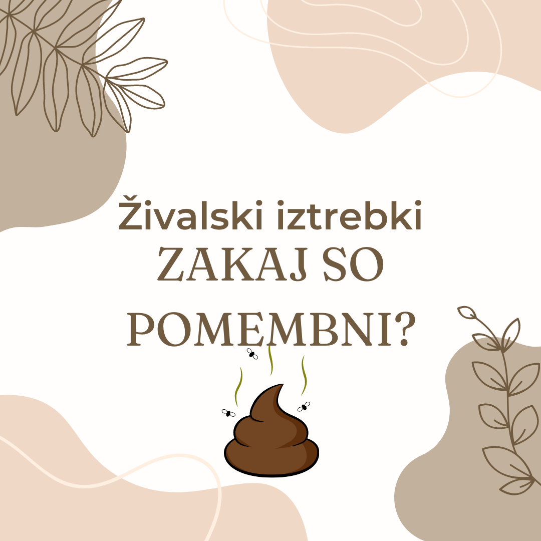 Iztrebki - neprijetna tematika, ampak lahko je življenjskega pomena ...